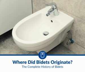 Where Did Bidets Originate?: Complete History of Bidets (2025)